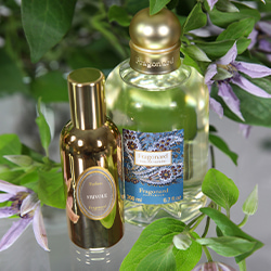 Perfumer in France | Perfume, Eau de Toilette for Women and Men | made ...